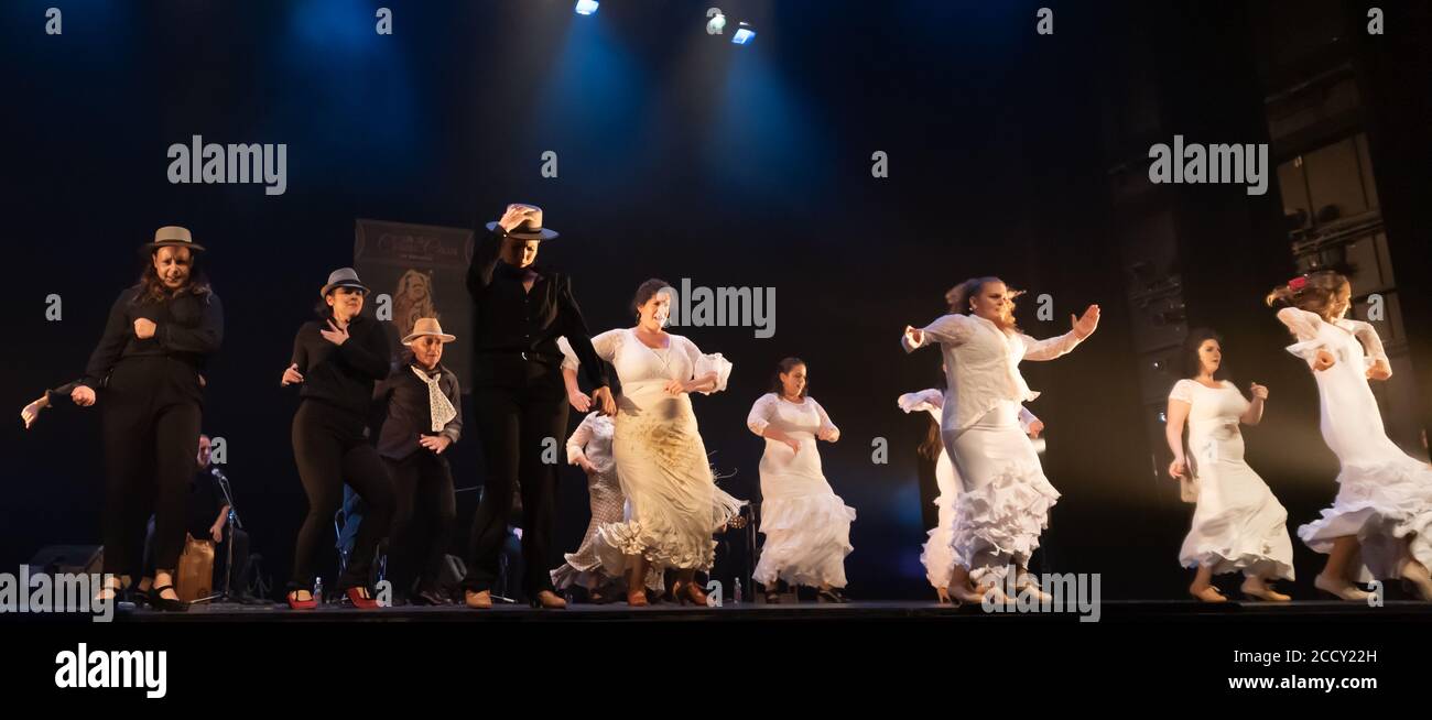 Flamenco dancers perform on stage Stock Photo - Alamy