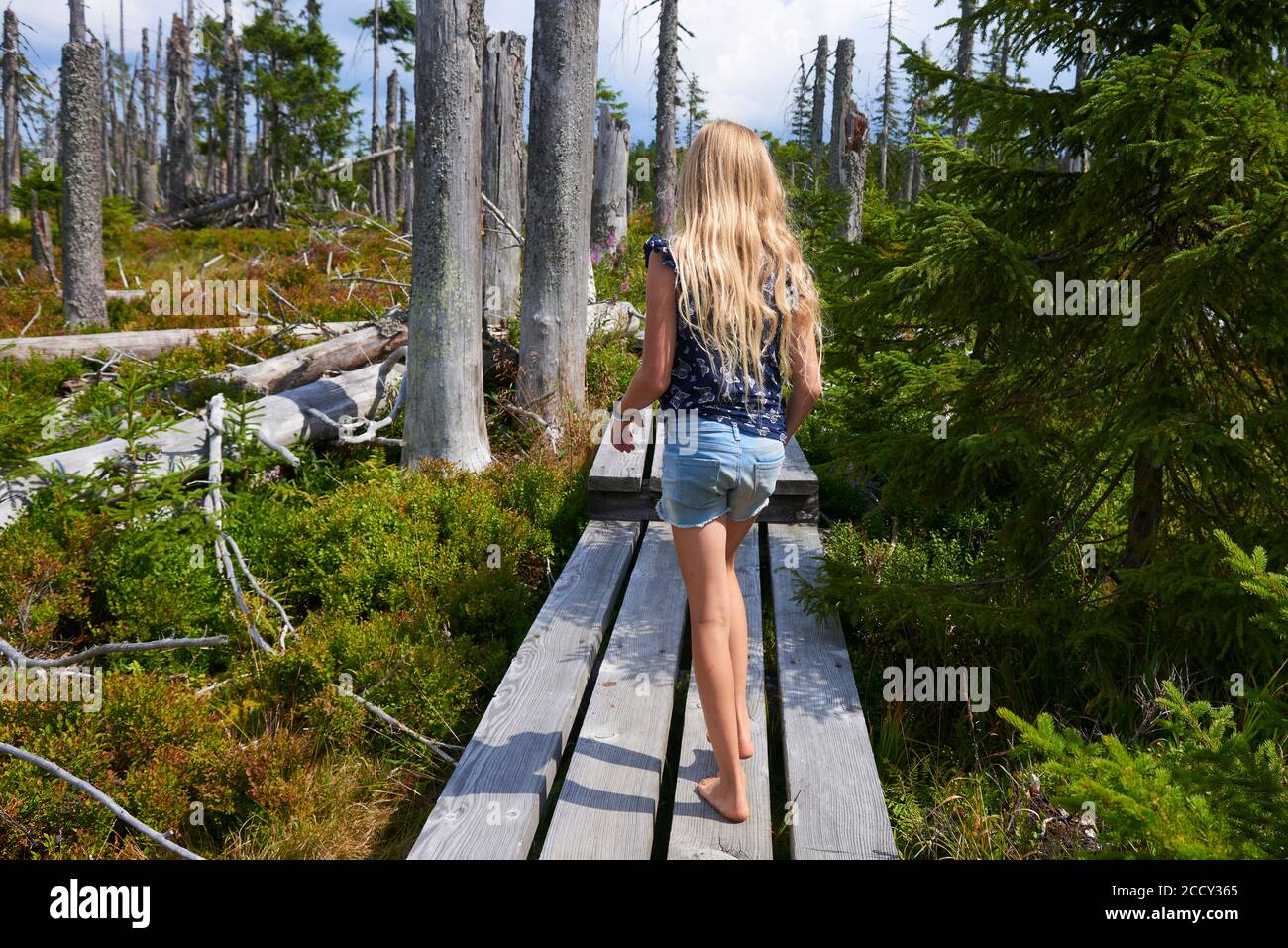 Barefoot girl forest hi-res stock photography and images - Alamy