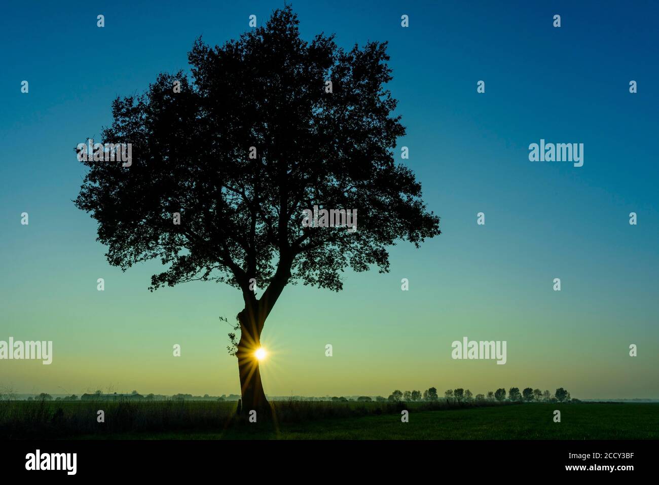 Silhouette in front of sunset hi-res stock photography and images - Alamy