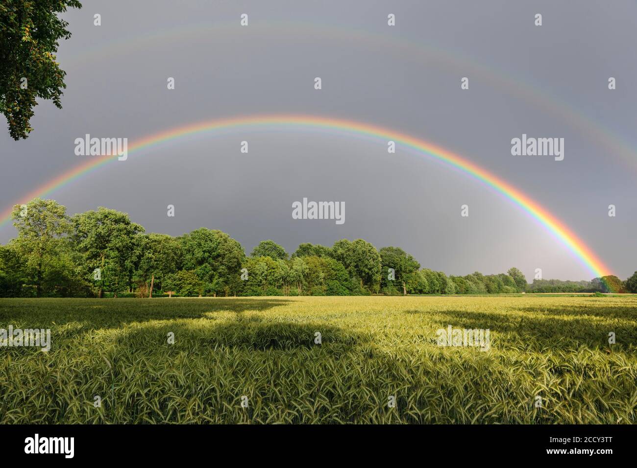 Rainbow over a cornfield hi-res stock photography and images - Alamy