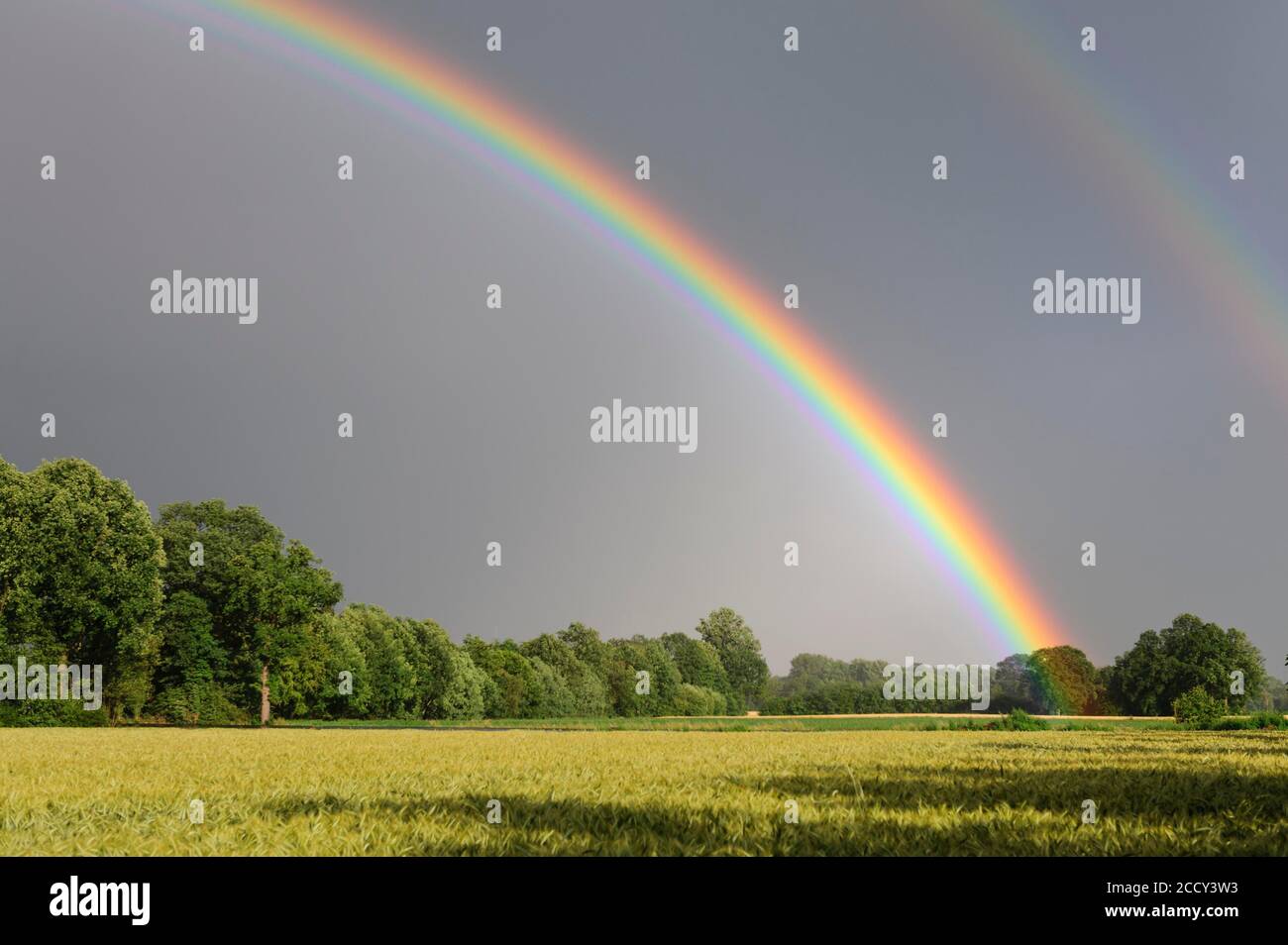 Rainbow over a cornfield hi-res stock photography and images - Alamy