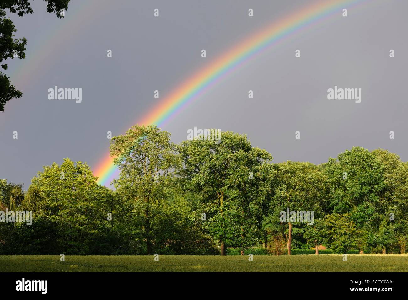 Rainbow over a cornfield hi-res stock photography and images - Alamy