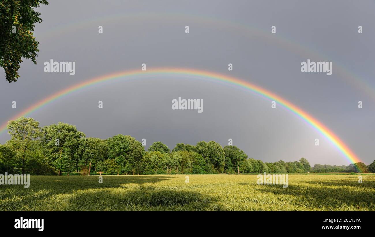 Rainbow over a cornfield hi-res stock photography and images - Alamy