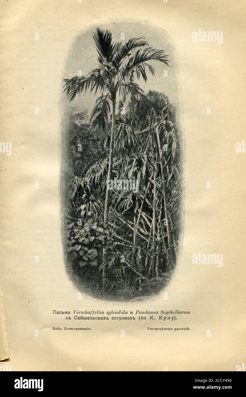 Johannes Eugenius Bülow Warming. Book - Plant distribution Stock Photo ...