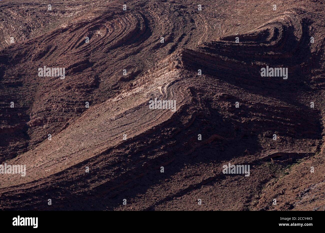 Paleozoic hi-res stock photography and images - Alamy
