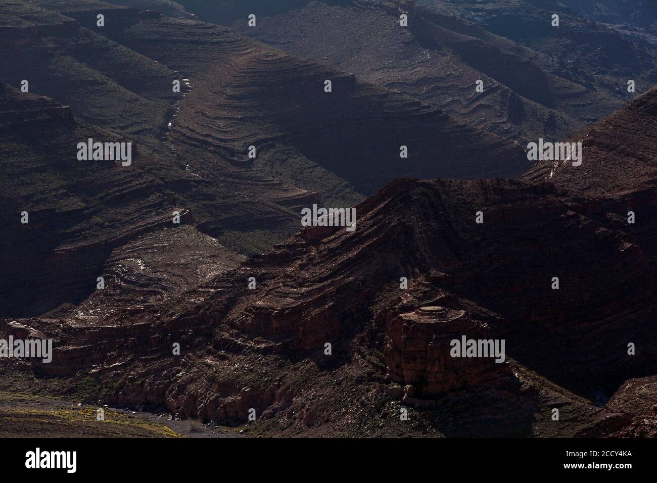 Paleozoic hi-res stock photography and images - Alamy