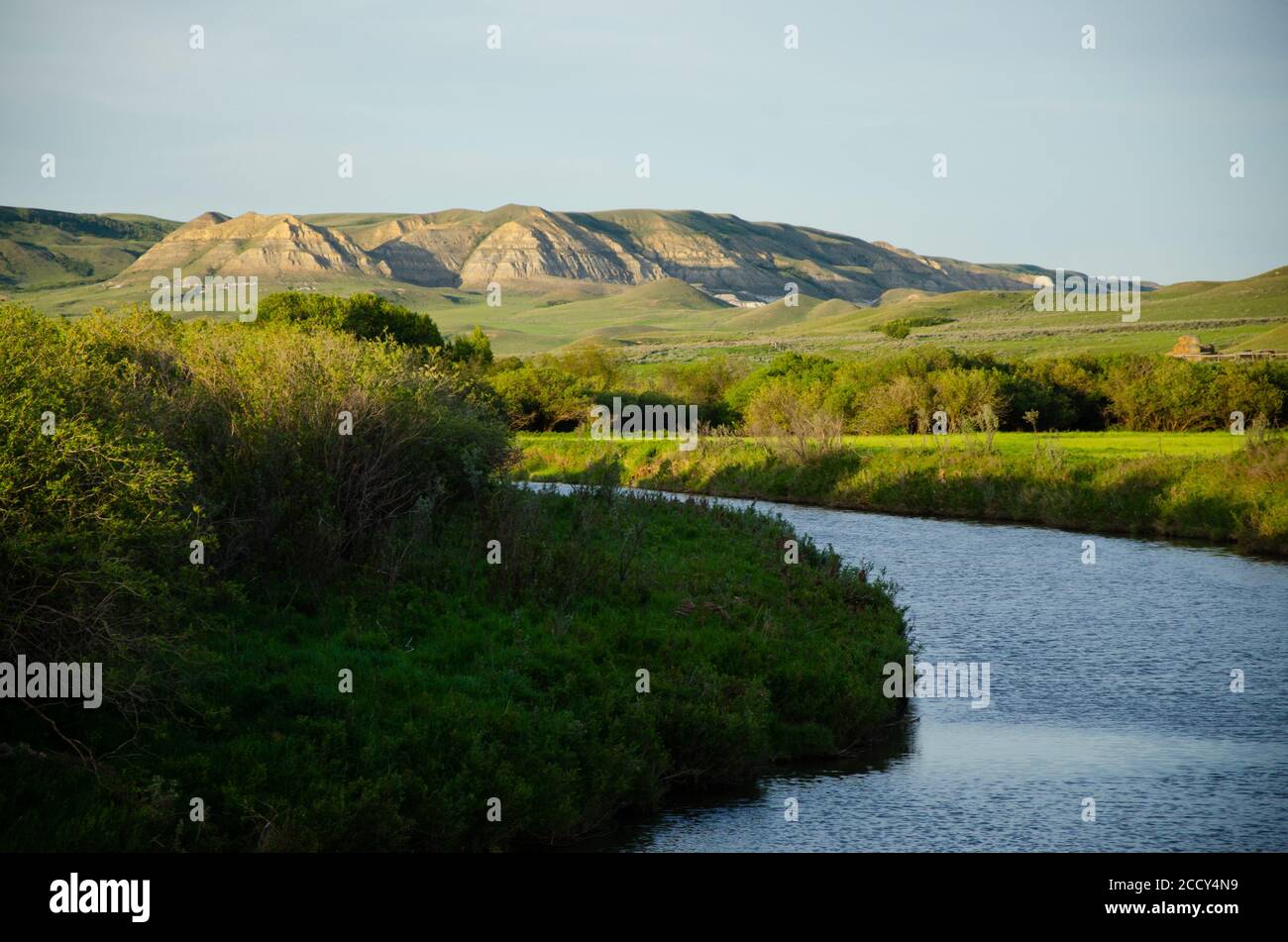 Beautiful scenery of a river surrounded by greenery at daytime Stock ...