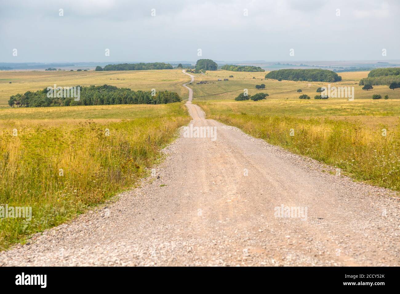Unmade track path hi-res stock photography and images - Alamy
