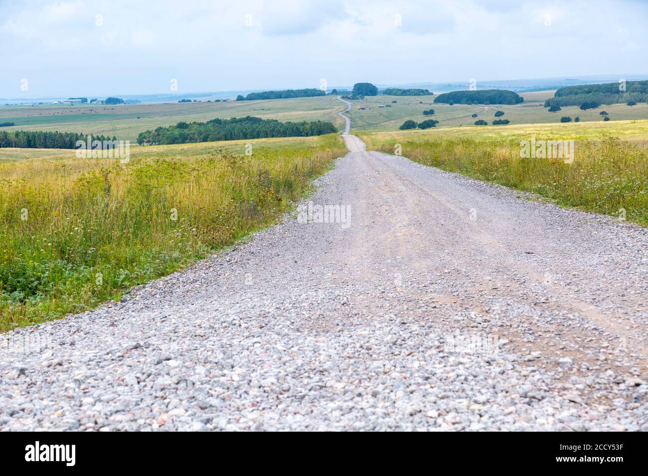 Unmade byway track road running west across Salisbury Plain towards ...