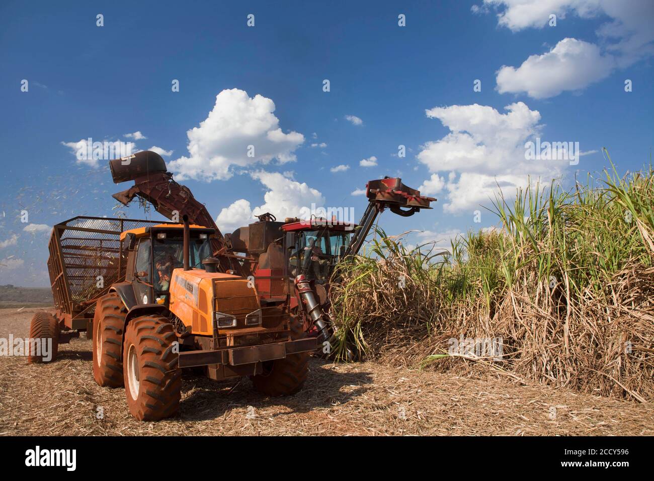 Mechanized harvest of Sugarcane, Sao Paulo, Brazil Stock Photo - Alamy