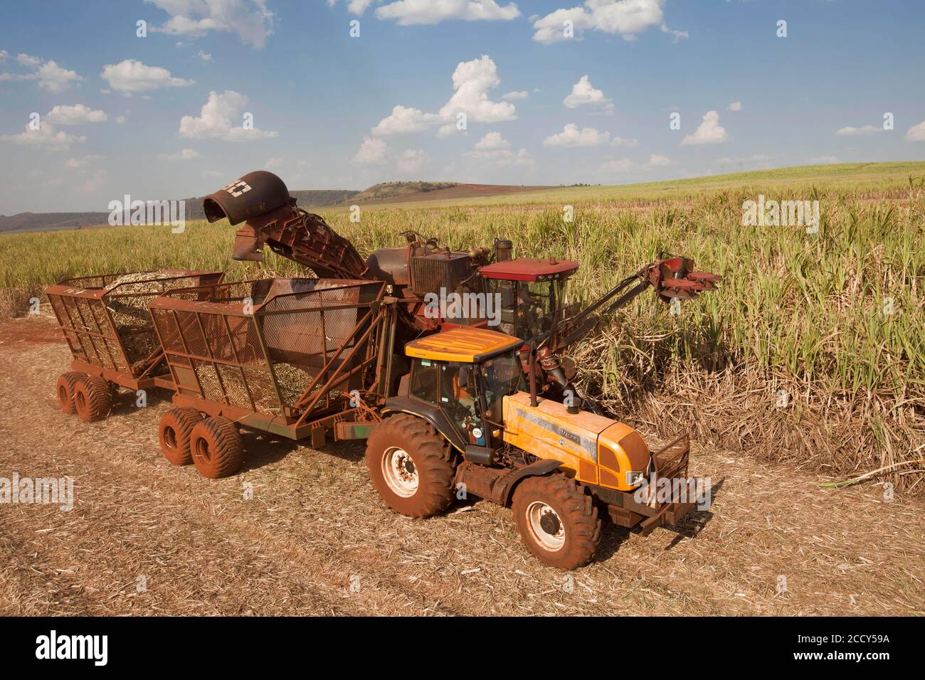 Mechanized harvest of Sugarcane, Sao Paulo, Brazil Stock Photo - Alamy