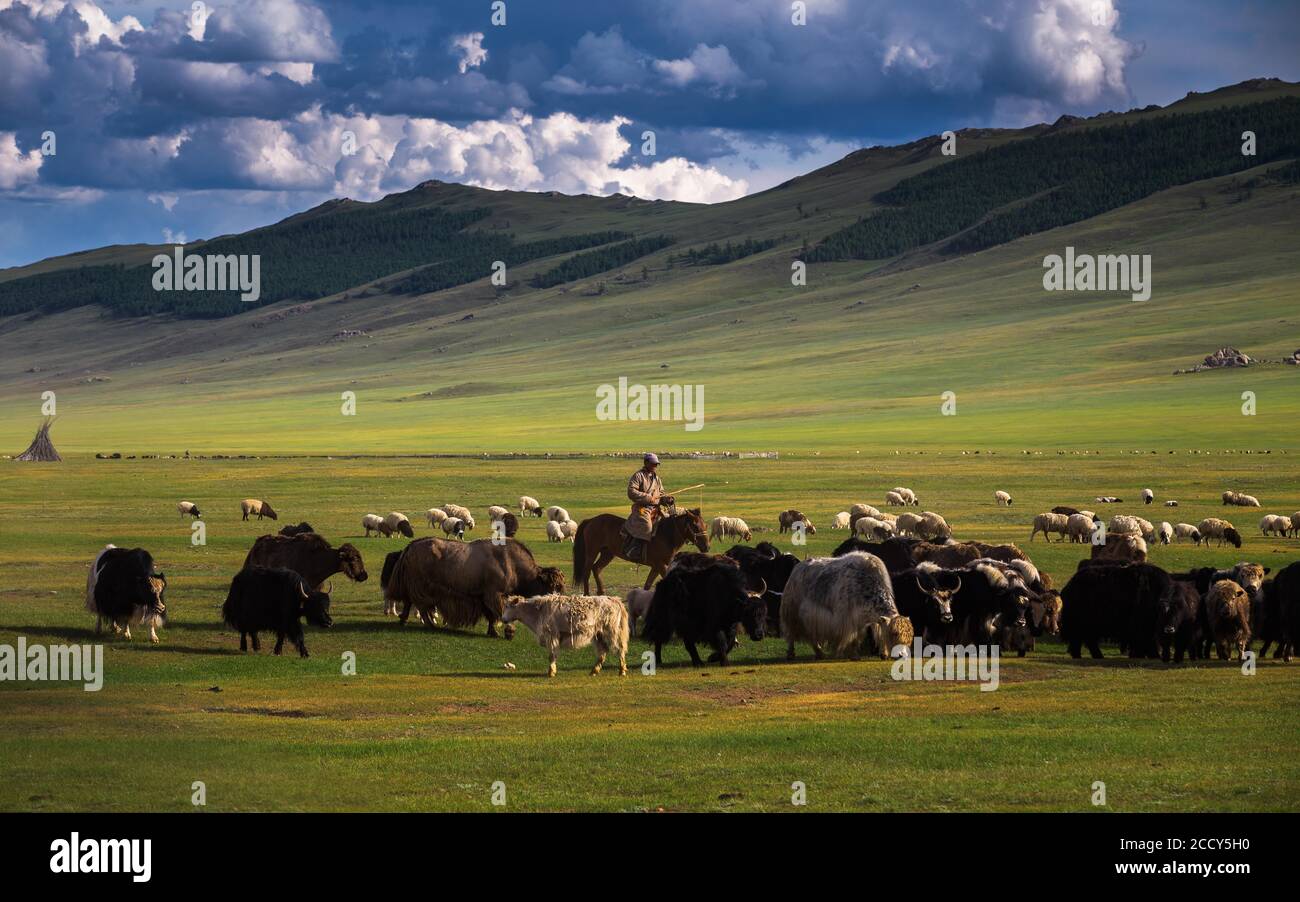 Arkhangai province, mongolia hi-res stock photography and images - Alamy