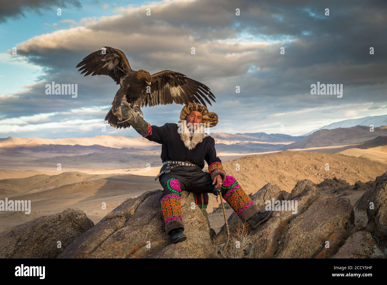 Old eagle hunter. Bayan-Ulgii province, Mongolia Stock Photo - Alamy