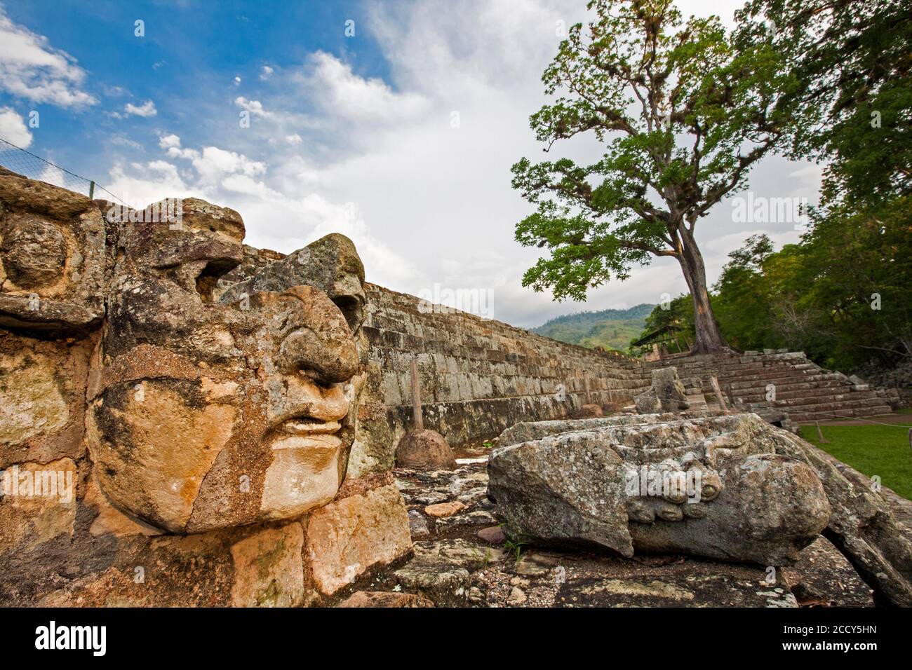 The East Court of the Acropolis viewed from Temple 22, Copan ...