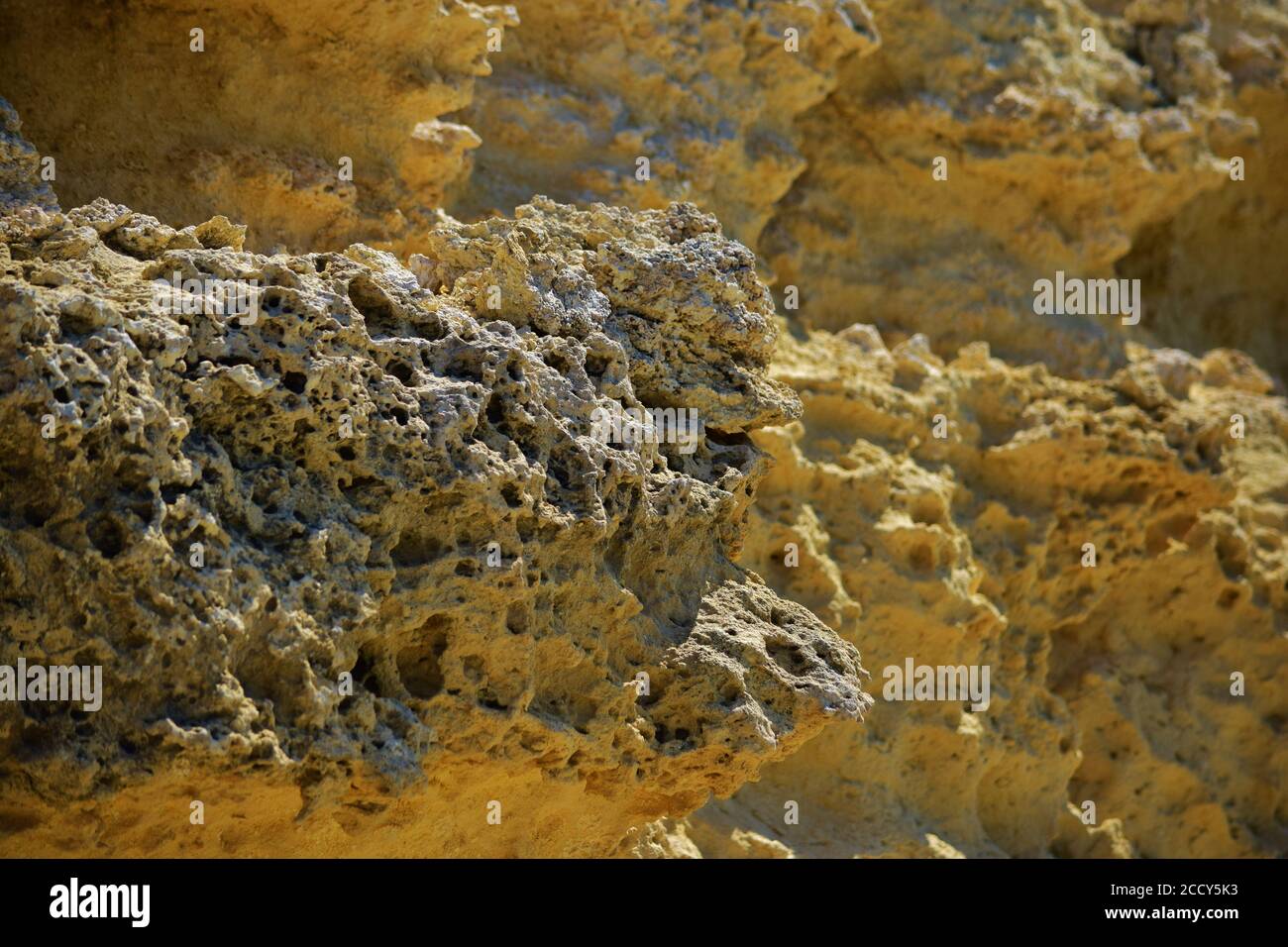 Weathering and erosion on a Globigerina Limestone rock Stock Photo - Alamy