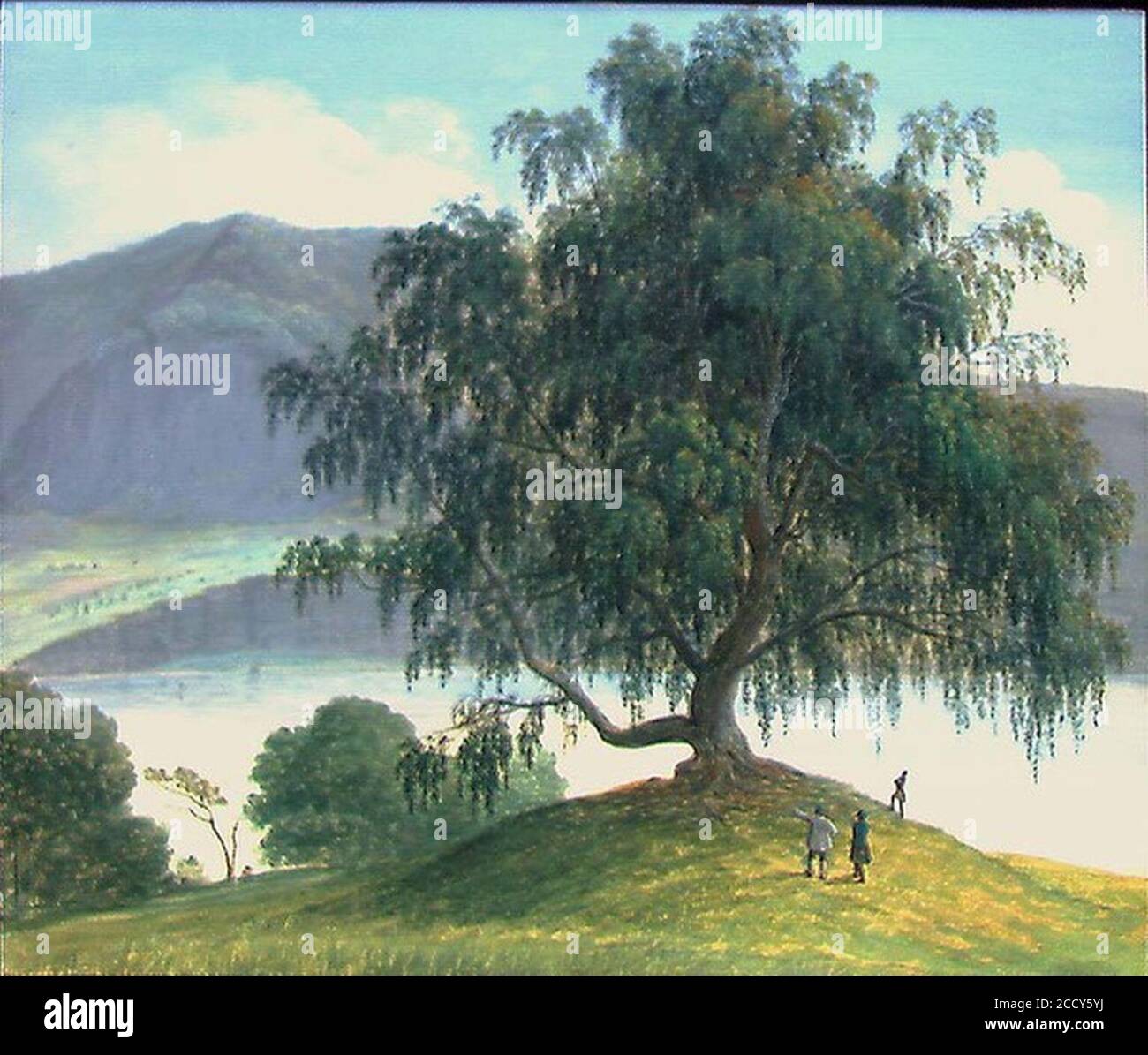 Johannes Flintoe - Old Birch Tree by the Sognefjord - Slindebirken ...