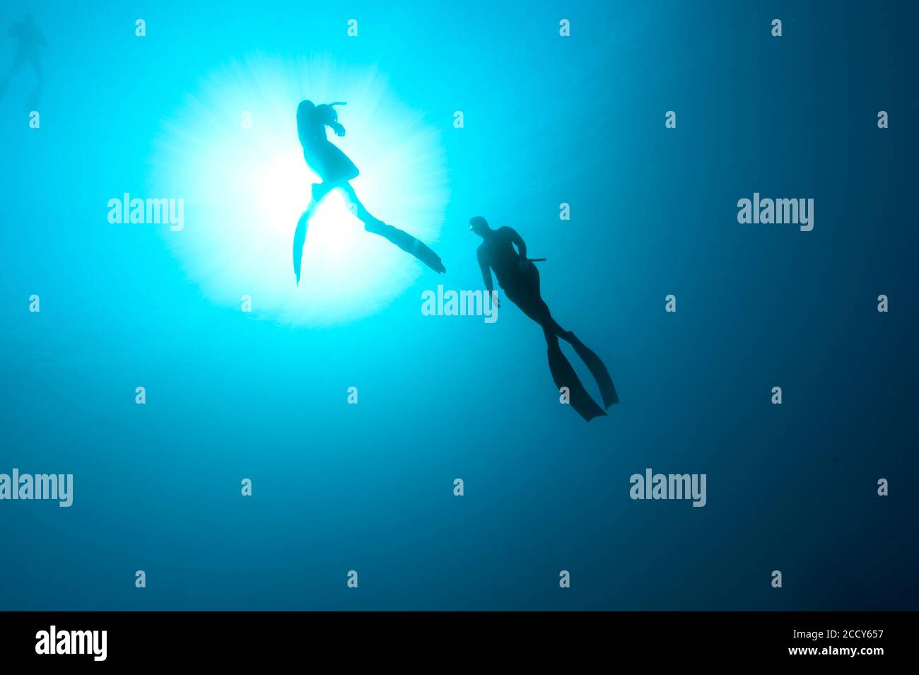 Freedivers hi-res stock photography and images - Alamy
