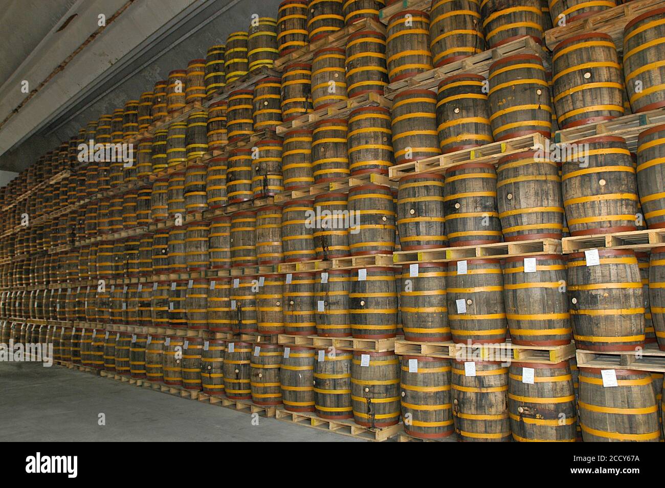 Rum barrels in rum factory hi-res stock photography and images - Alamy