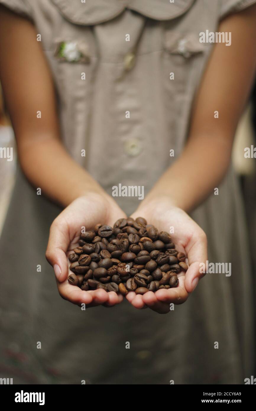 Hands with coffee beans, person holding coffee beans, coffee beans in ...