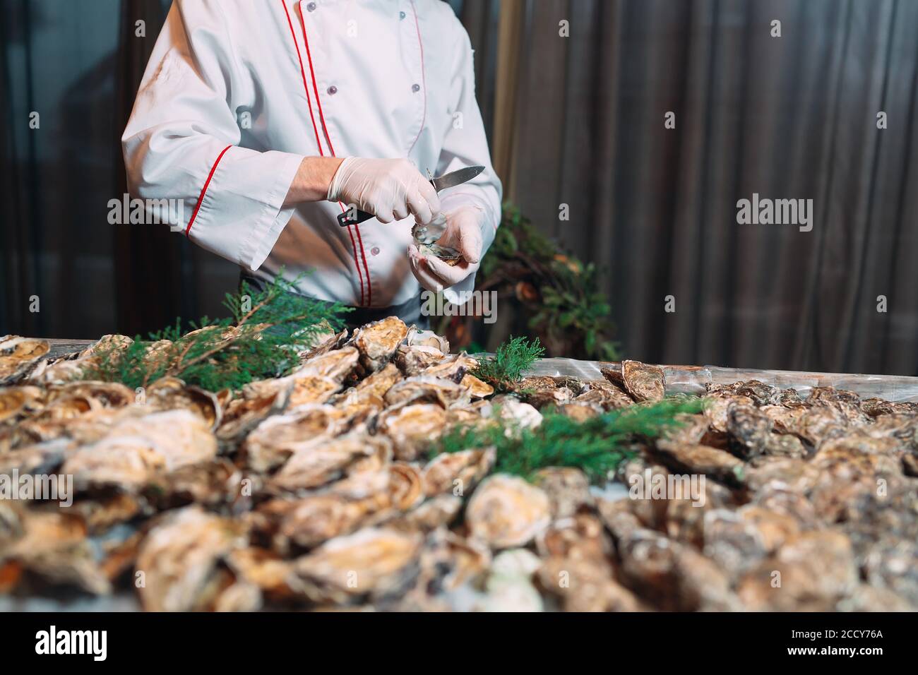 The chef opens oysters in the restaurant Stock Photo - Alamy