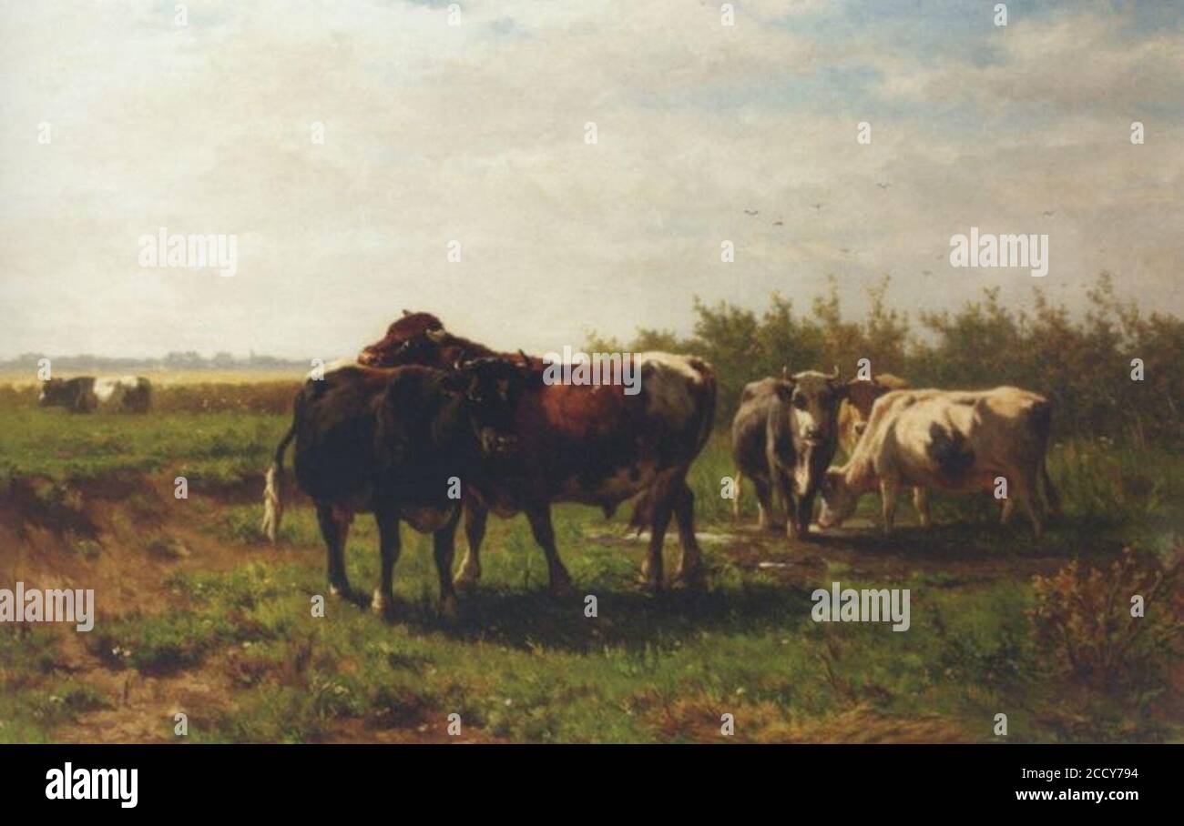 Leonardus hi-res stock photography and images - Alamy