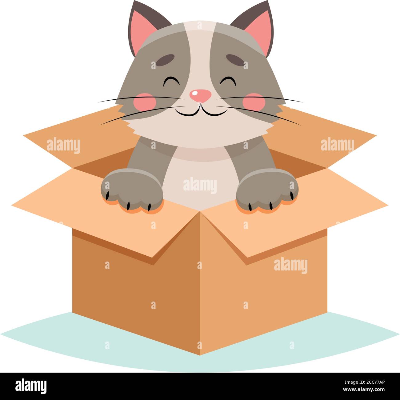 Adopt a pet - cute cat in a box, isolated on white background Stock ...