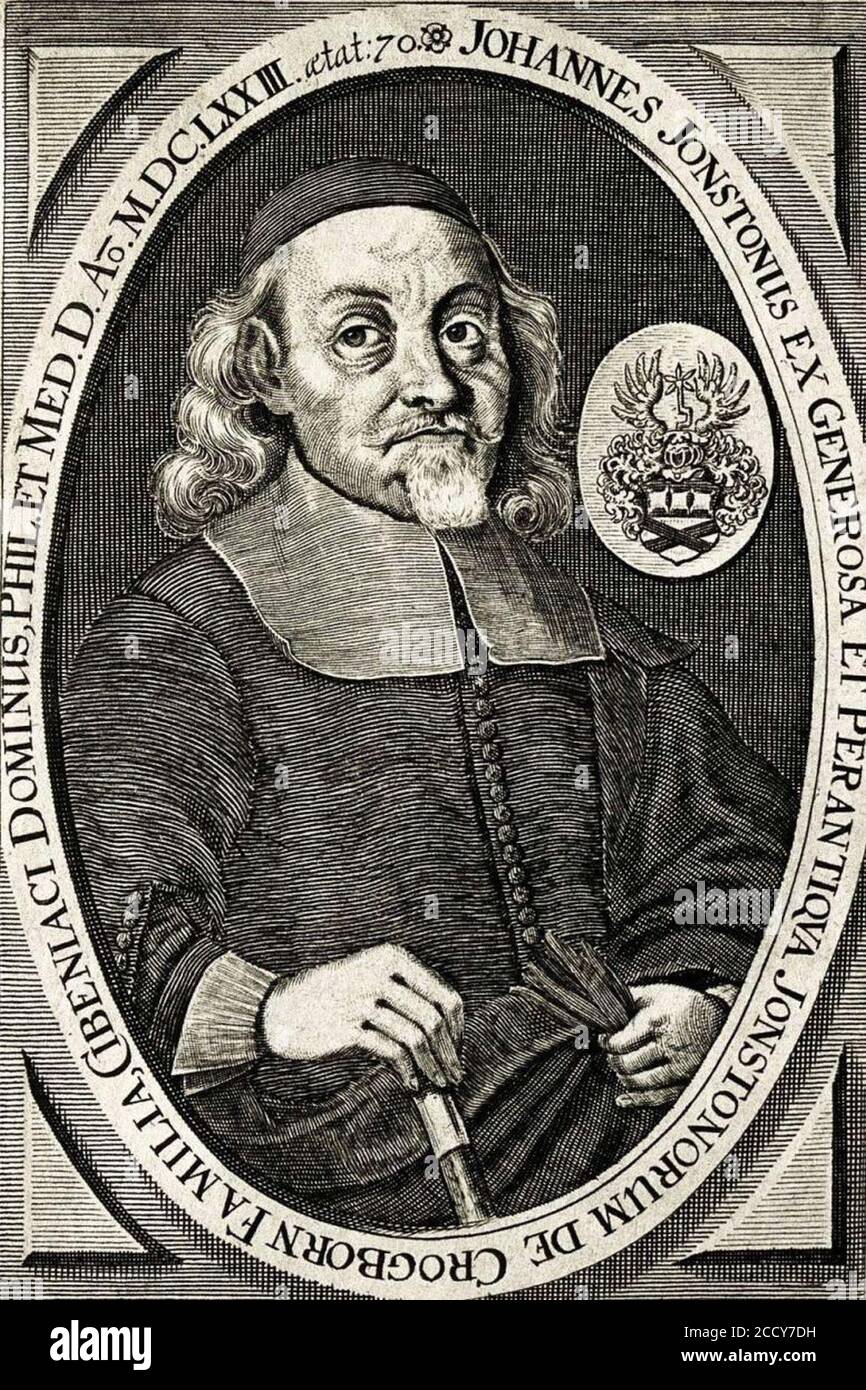 Johannes Jonstonus Polonus Stock Photo - Alamy