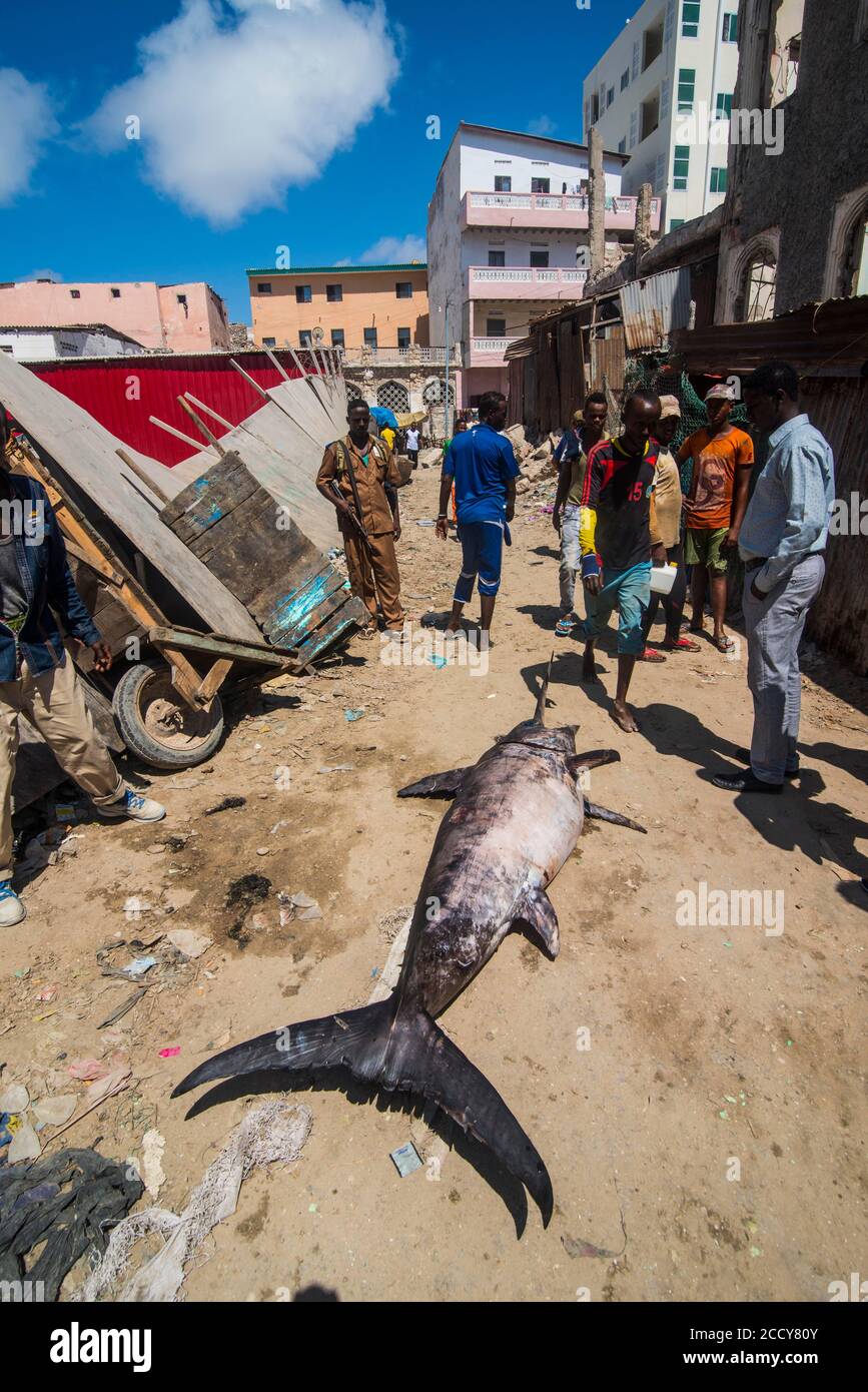 Old man mogadishu fish market hi-res stock photography and images - Alamy