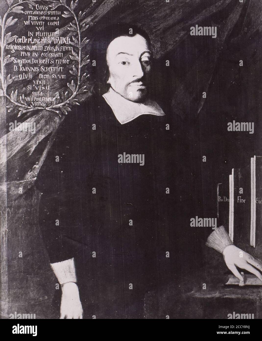 Scheffler hi-res stock photography and images - Alamy