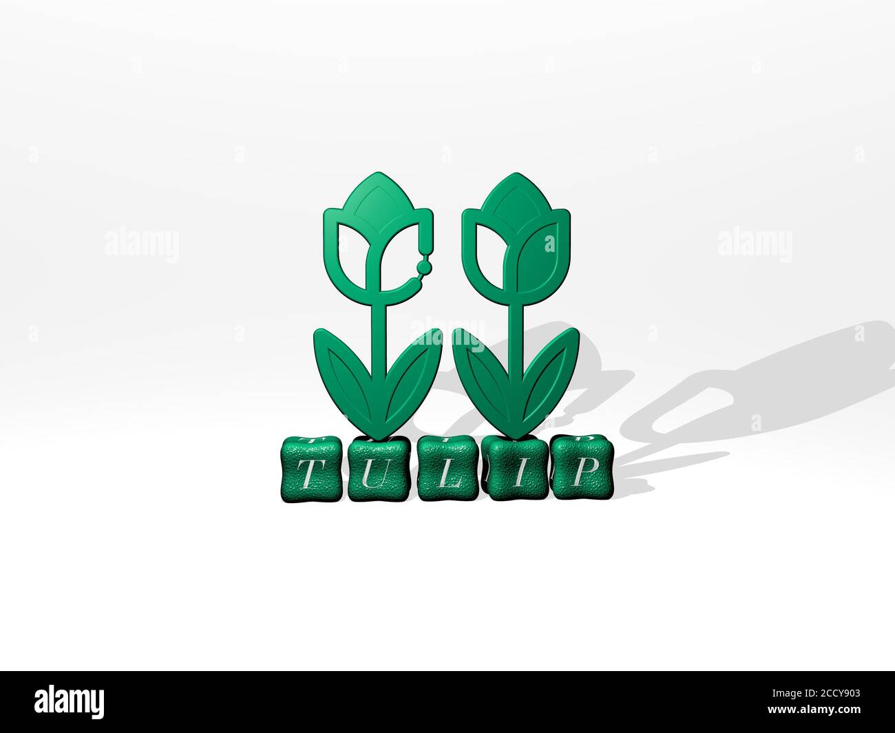 TULIP 3D icon on cubic text, 3D illustration Stock Photo - Alamy