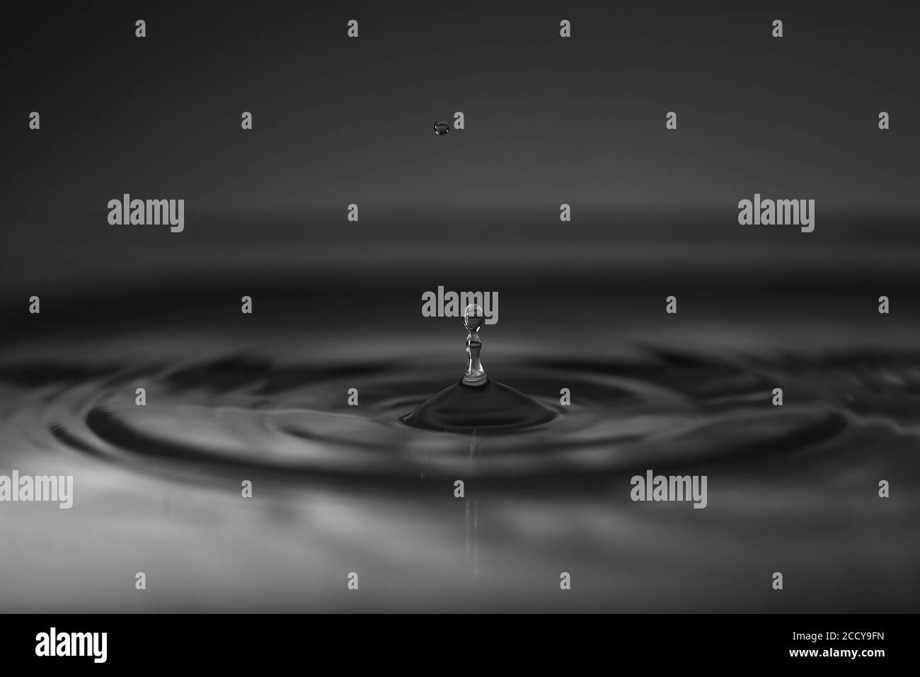 Grayscale shot of a small water drop falling on the water surface Stock ...