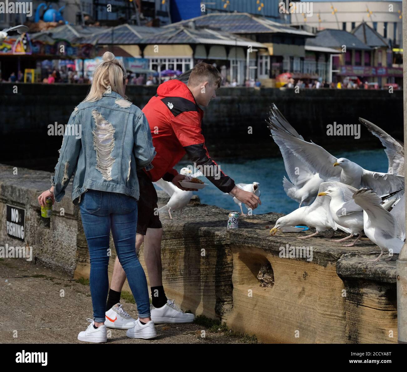 Couple being mobbed by seagulls on sea front Stock Photo - Alamy