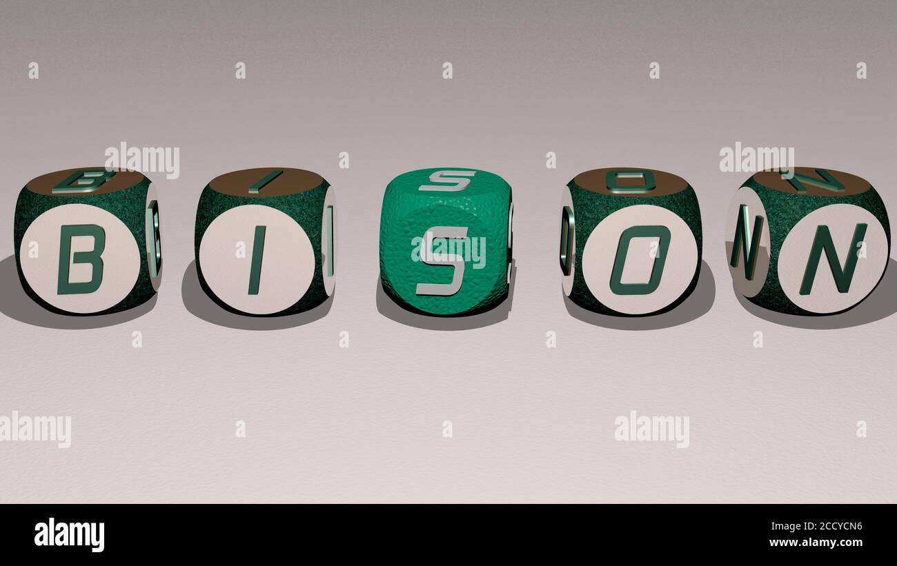 combination of BISON built by cubic letters from the top perspective ...