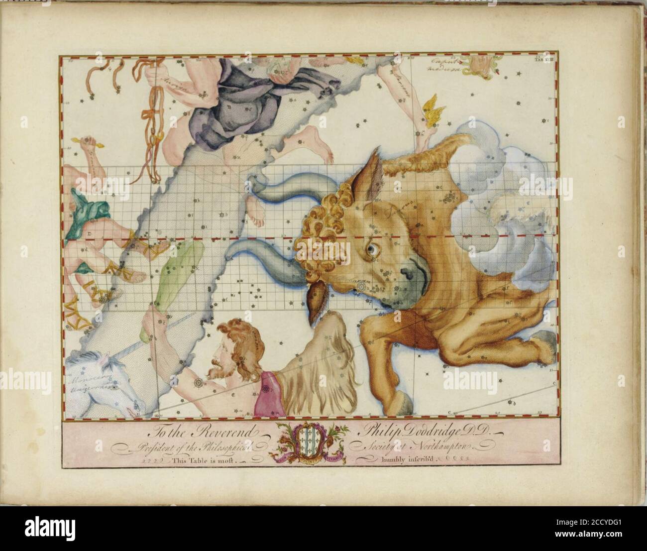 John Bevis - Taurus (cropped Stock Photo - Alamy