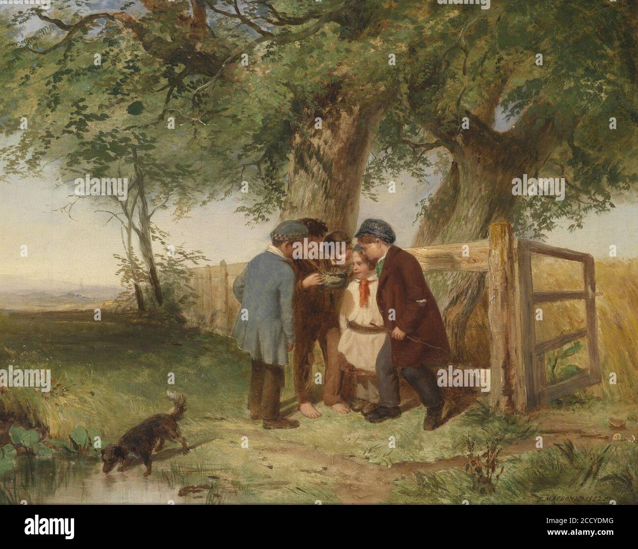 John Blake MacDonald Das Vogelnest 1852 Stock Photo - Alamy