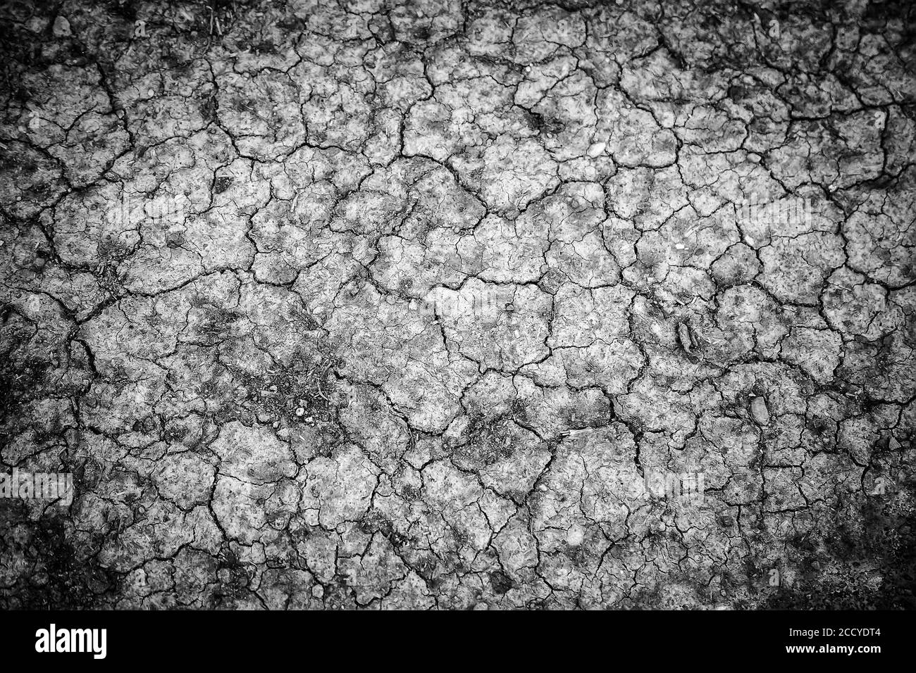 detail of climate change, destruction and heat, destruction of the ...