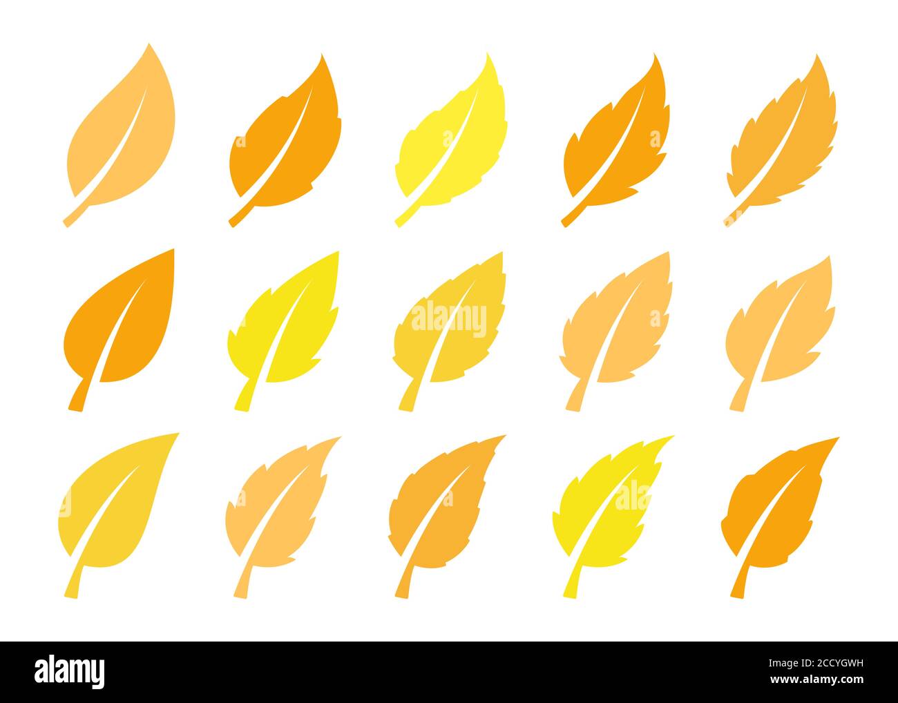 Autumn leaves set Stock Vector Image & Art - Alamy
