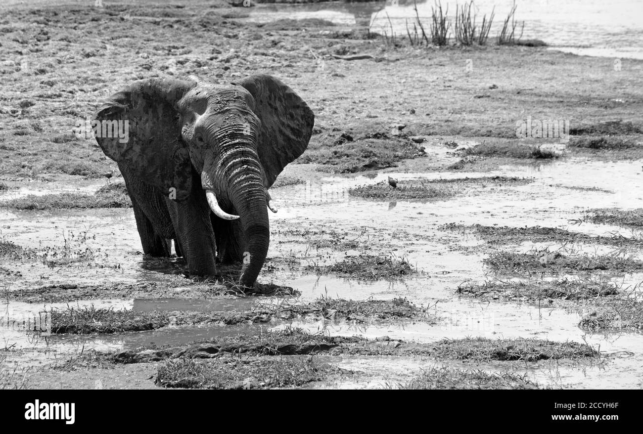 Small river in south Black and White Stock Photos & Images - Alamy