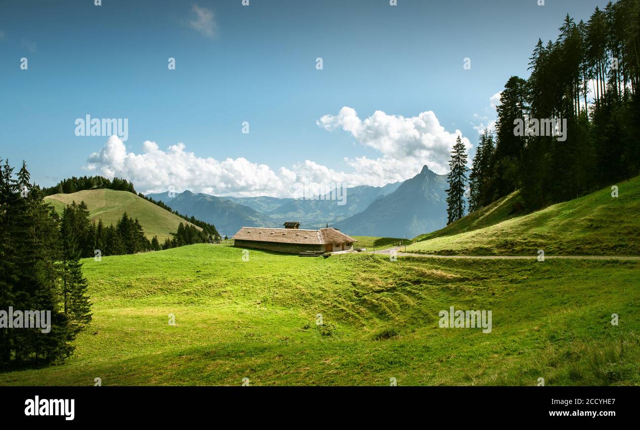 Panoramic landscape of Swiss fields and a farm, Switzerland Stock Photo ...