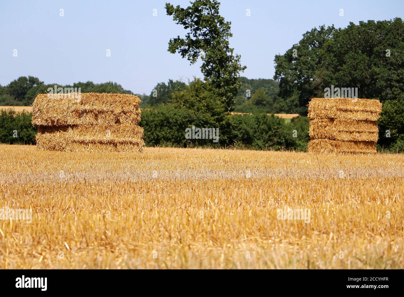 Landscape shot of straw bale cubes Stock Photo - Alamy
