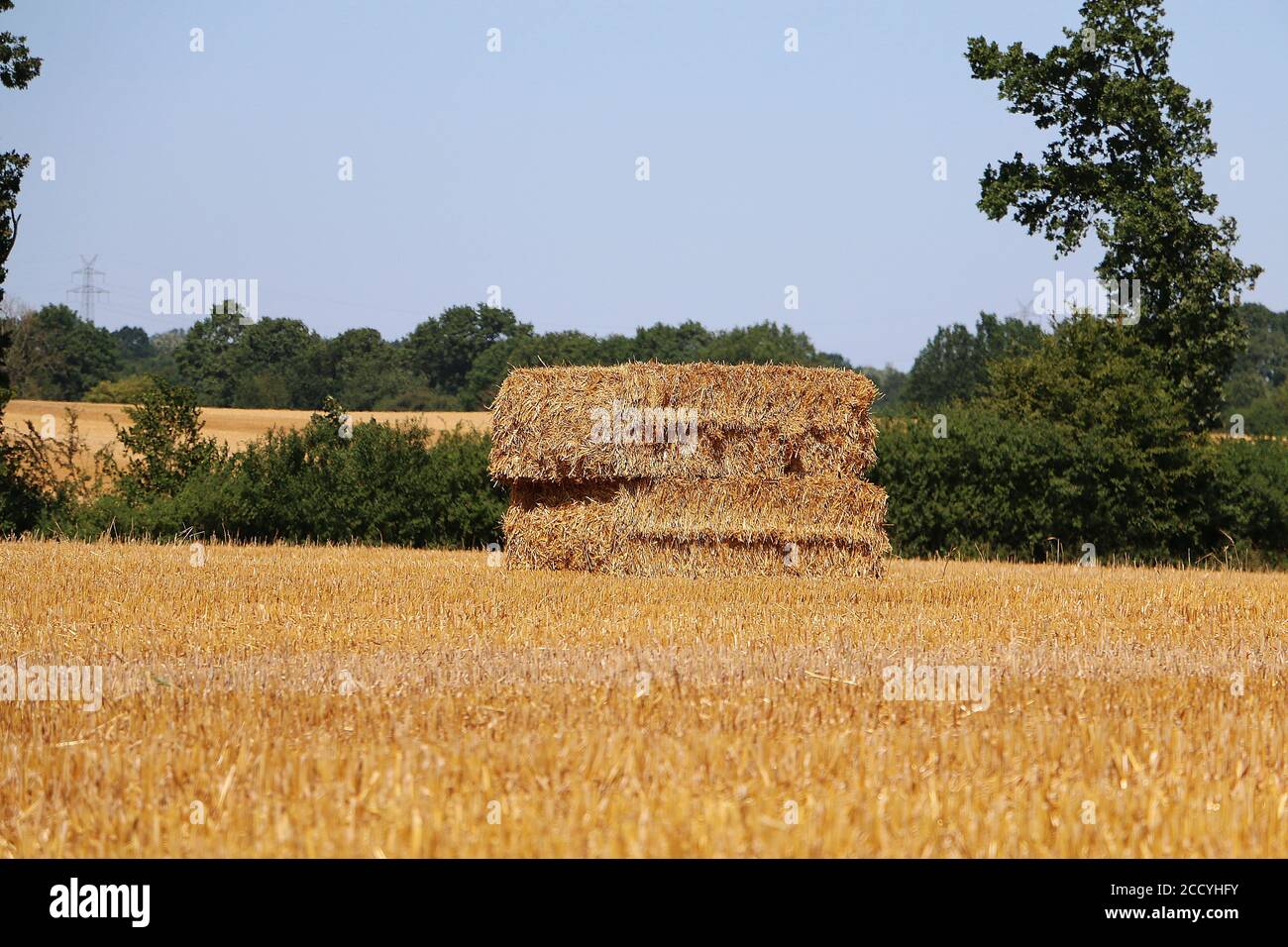 Landscape shot of straw bale cubes Stock Photo - Alamy