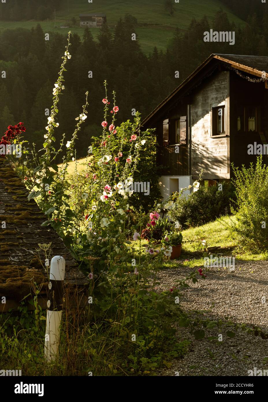 Summit garden hi-res stock photography and images - Alamy