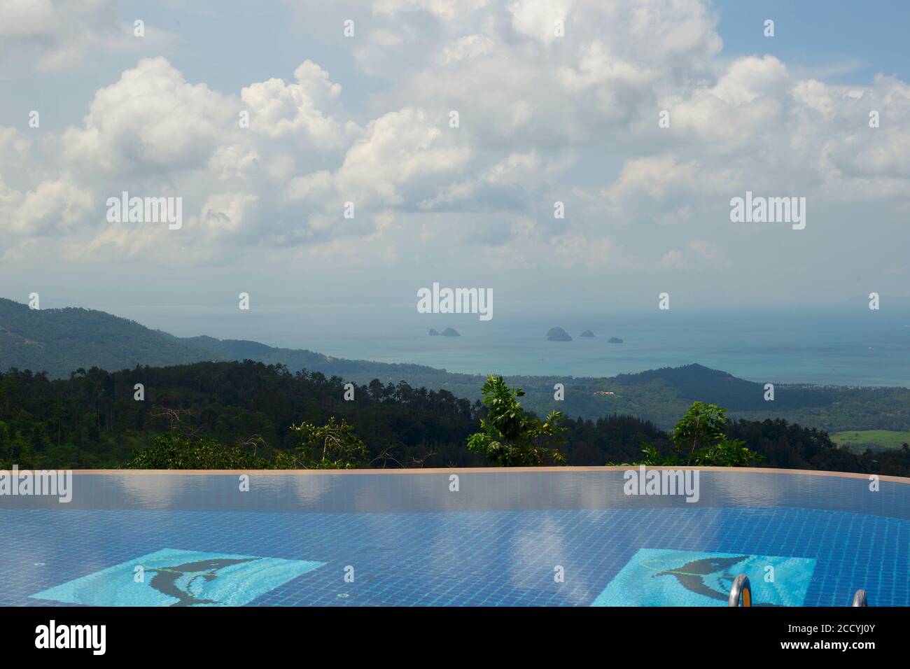 large pool overlooking the sea among tropical greenery Stock Photo - Alamy