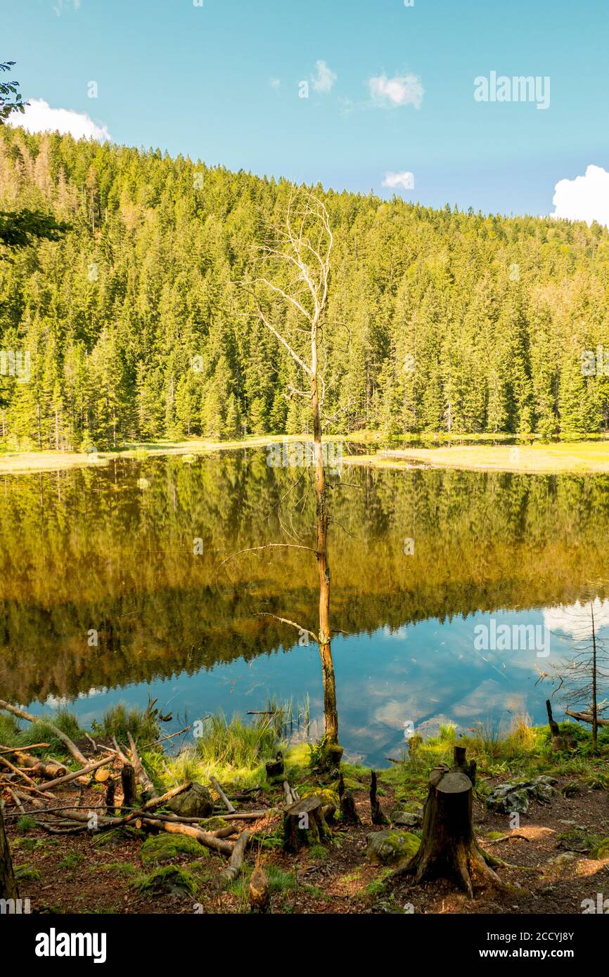 Reservoir with beautiful reflection of the blue sky with clouds and ...