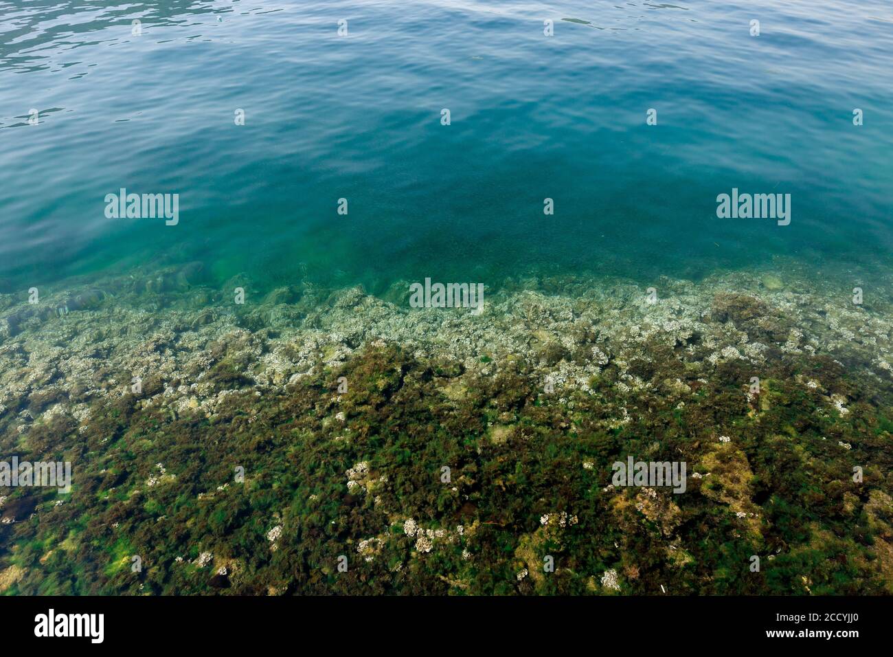 Deep blue sea on the shore, water surface texture Stock Photo - Alamy