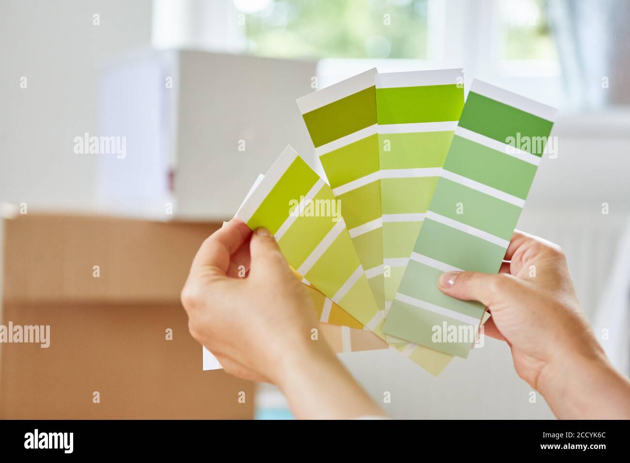 Woman choosing wall color with color palette while renovating apartment ...