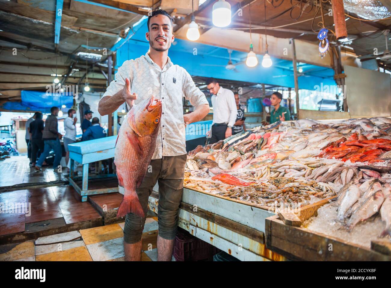 egyptian fish seller showing big fresh fish from the counter at street ...