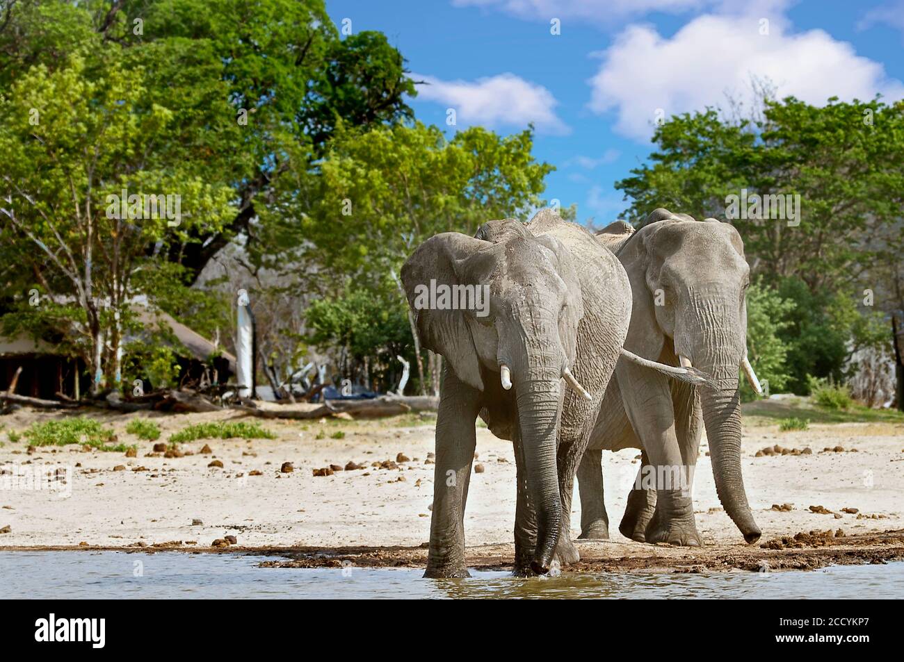 Makololo camp hi-res stock photography and images - Alamy