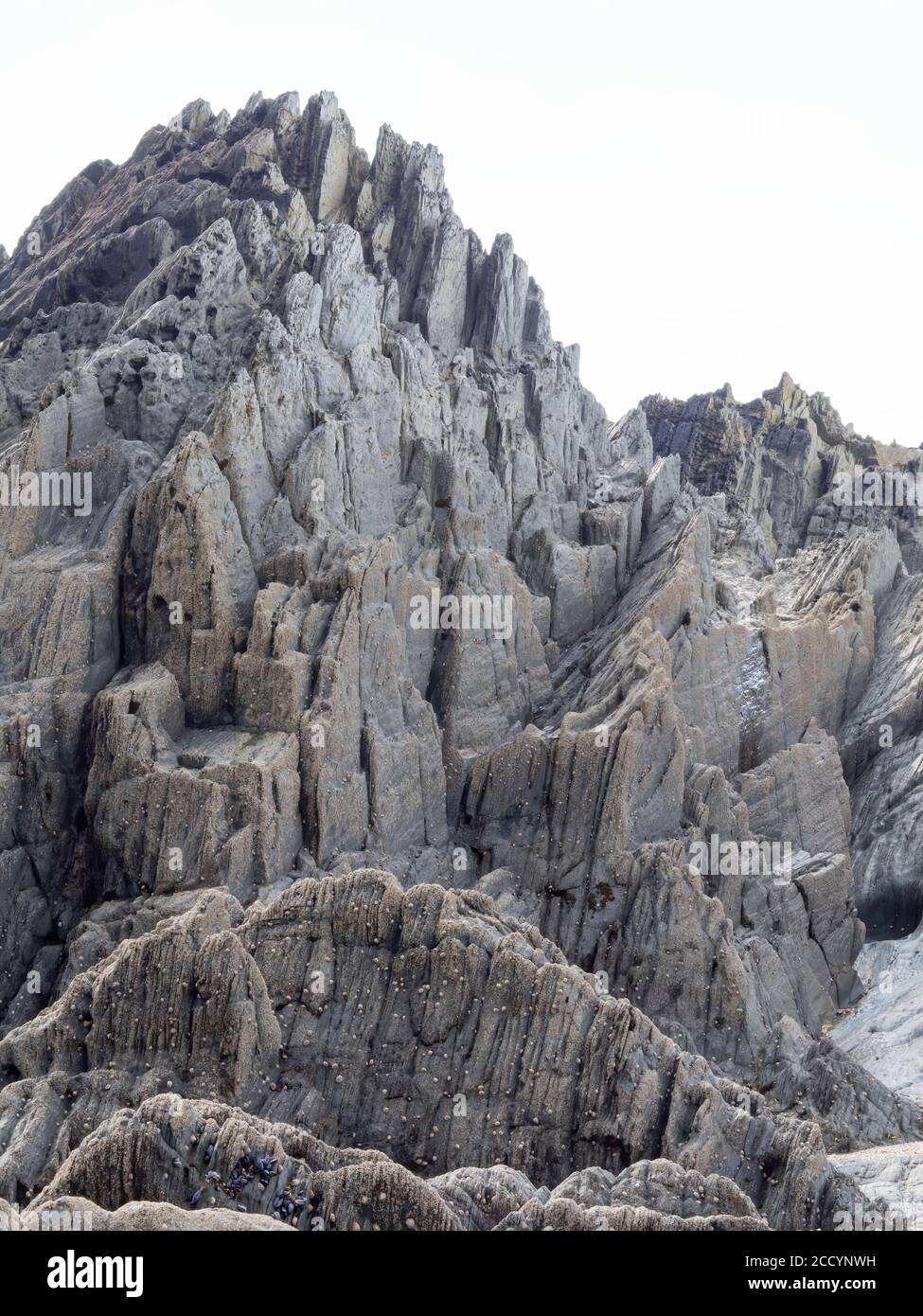 Example of geology, rock, north Devon coast, UK Stock Photo - Alamy