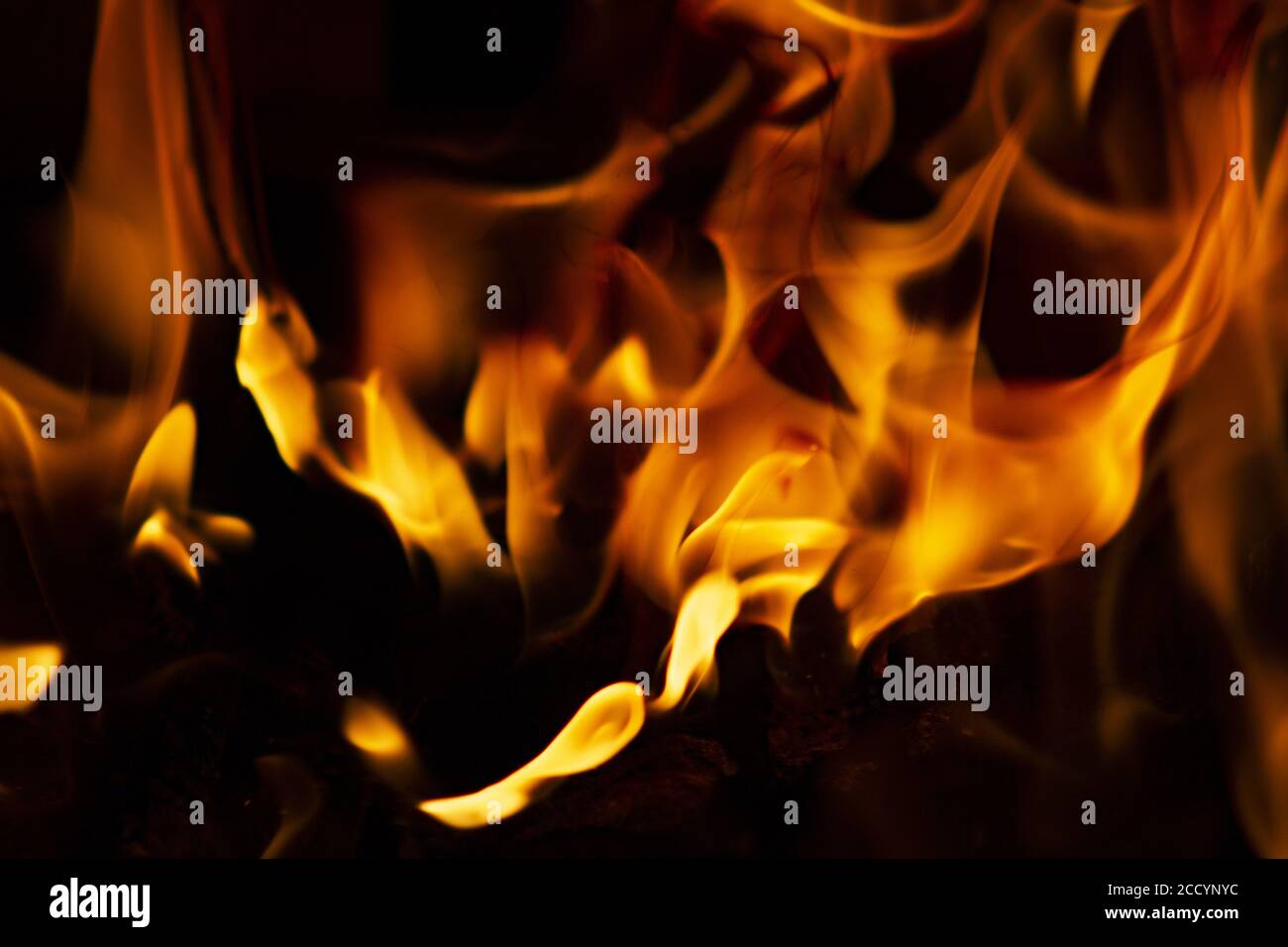 Closeup shot of blazing fire flame isolated on black background Stock ...